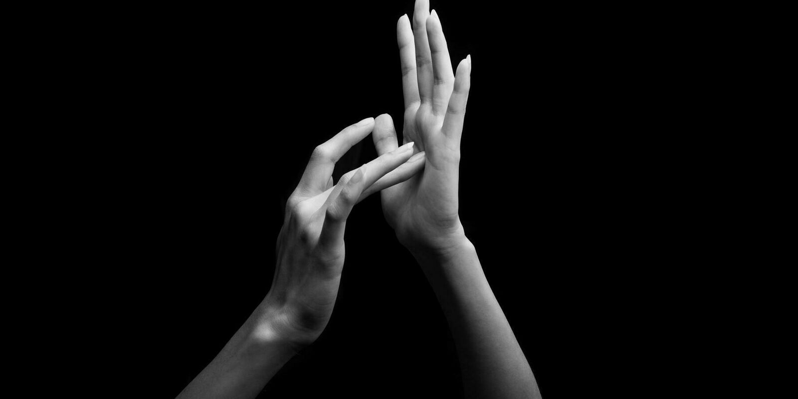 British Sign Language For Beginners City College Peterborough british-sign-language-for-beginners-city-college-peterborough